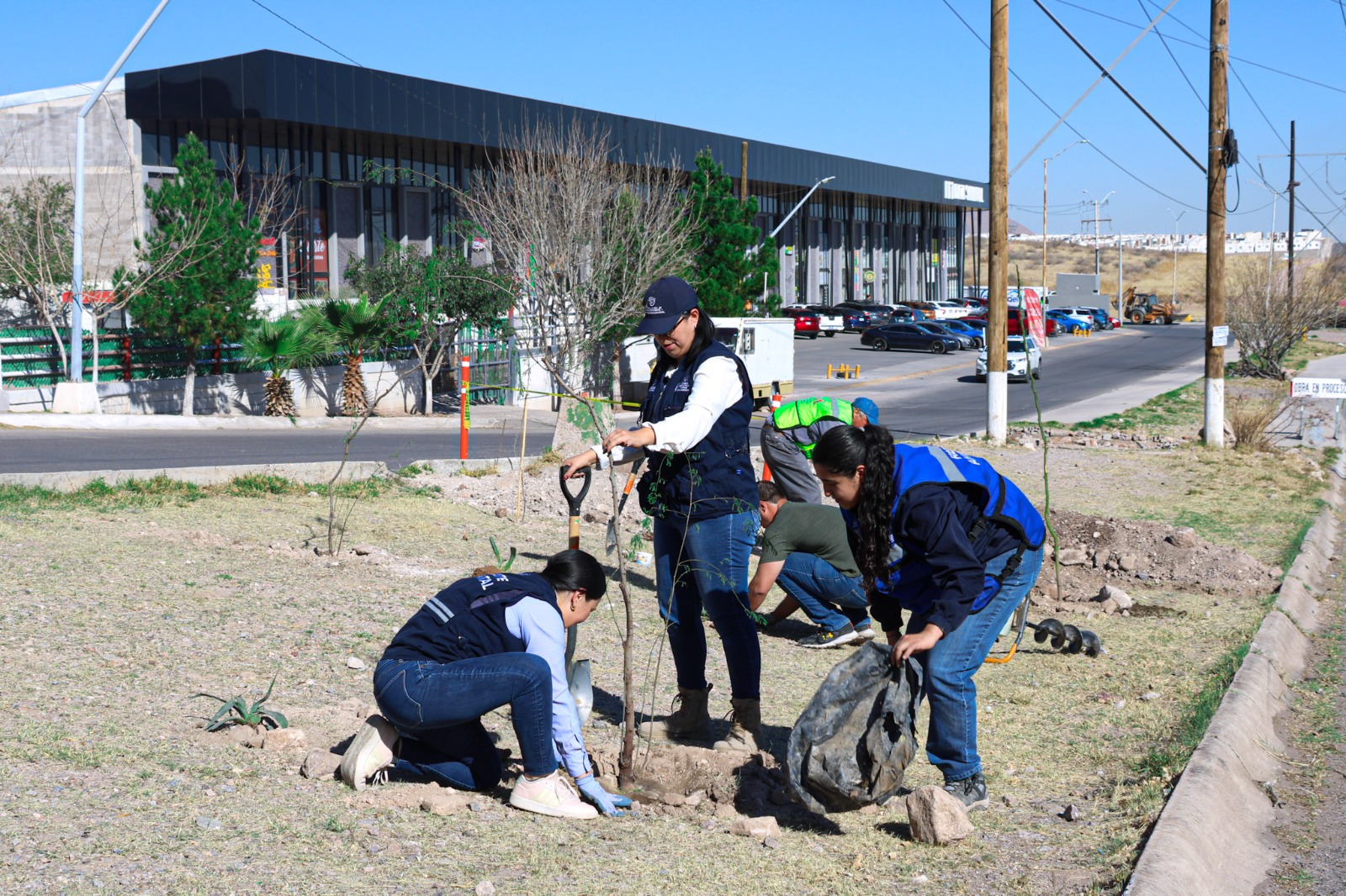 Reforesta Municipio en tres zonas de la ciudad para cuidar el medio ...
